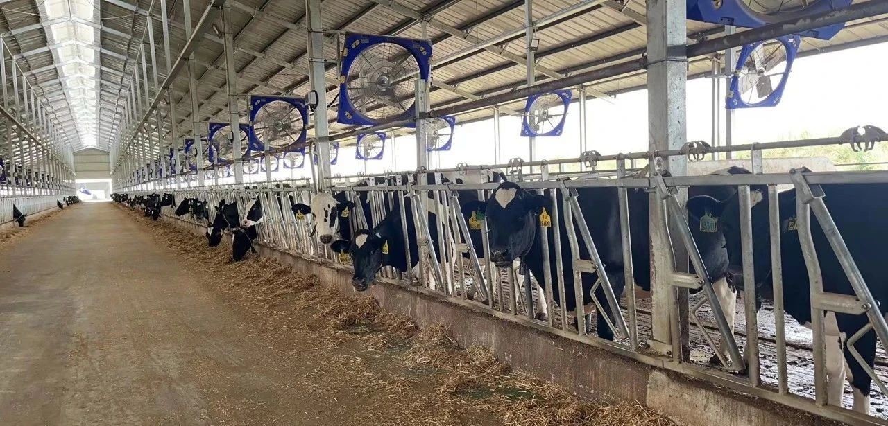 How to reasonably plan the number and location of fans installed in ...