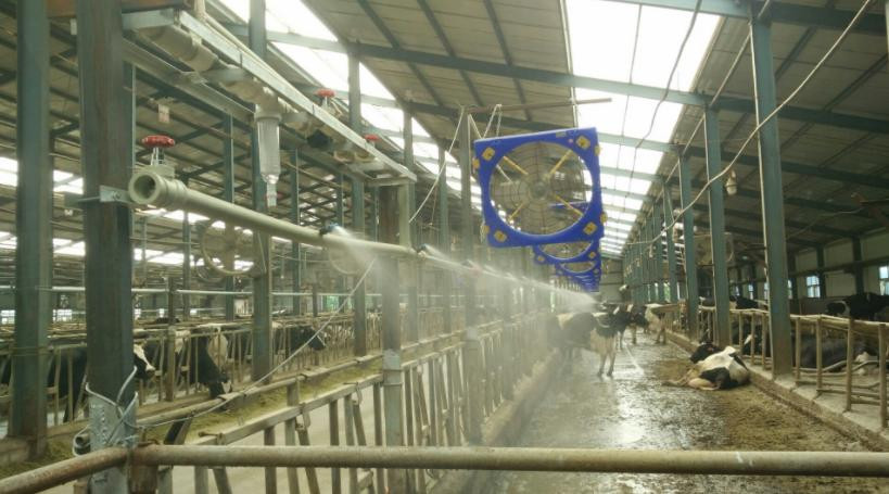 China Shanghai Terrui International Trade Co., Ltd. latest company ...