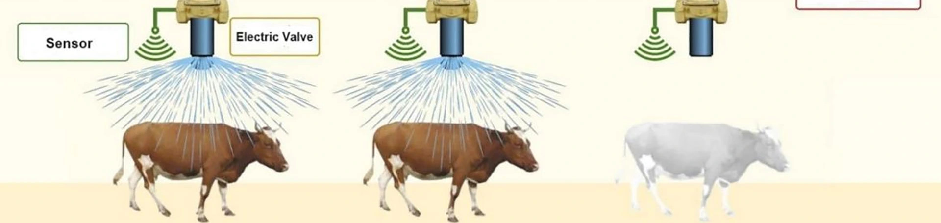 Keep Your Ranch Cool All Summer - Terrui Dairy Visual Soaking System