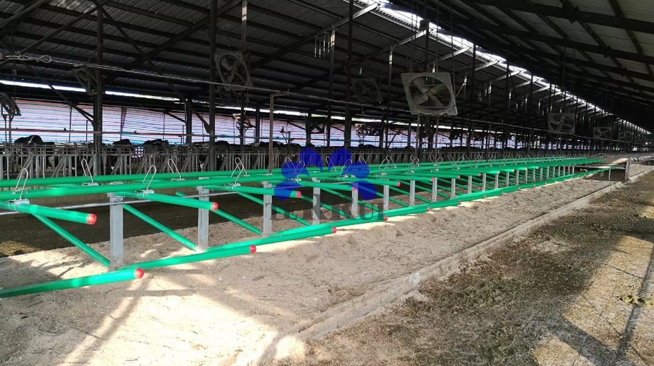 NWL480 Terrui Compound Plastic Cow Free Stall