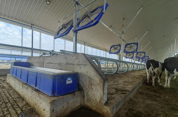 Cattle water troughs: how to choose and use them to improve cattle breeding