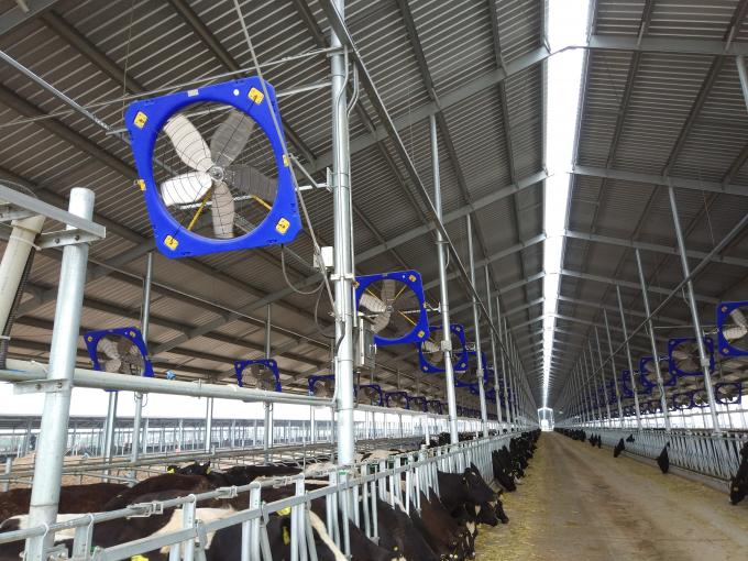 Livestock Ventilation Fans The Perfect Solution for Livestock ...